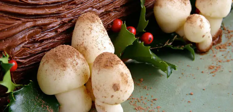 Marzipan Mushrooms | Odense Almond Paste & Marzipan